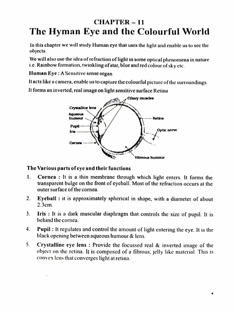 Human Eye Notes PDF | PDF