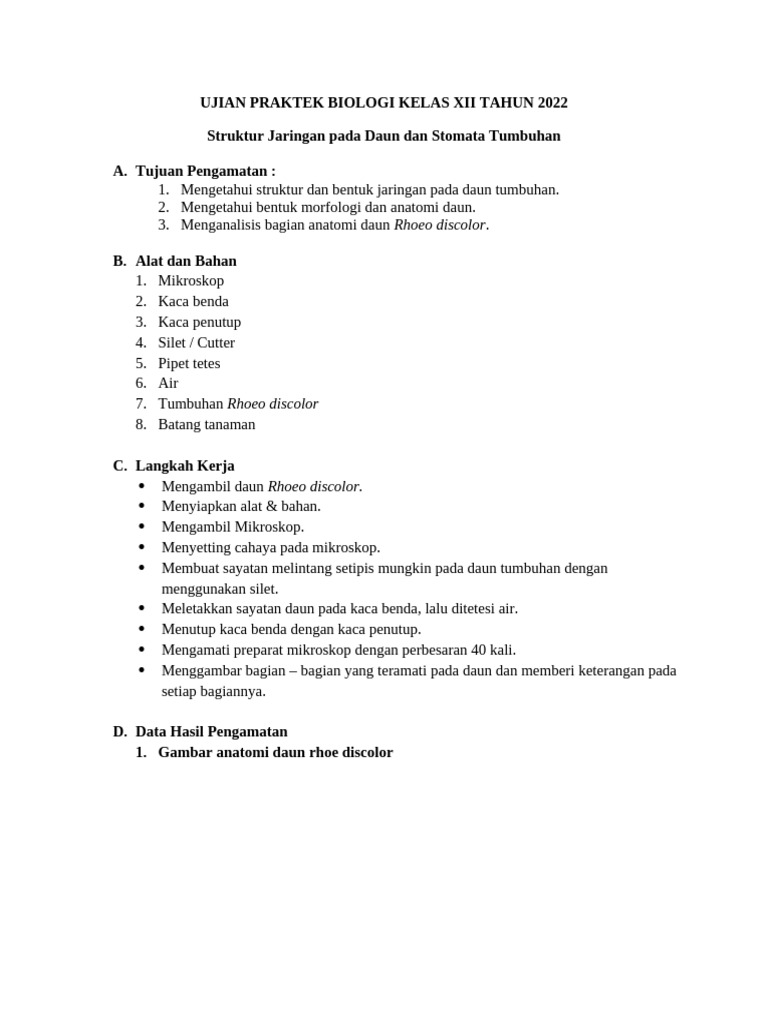 Ujian Praktek Biologi Daun Rhoe Discolor Kelas Xii Tahun 2022 | PDF