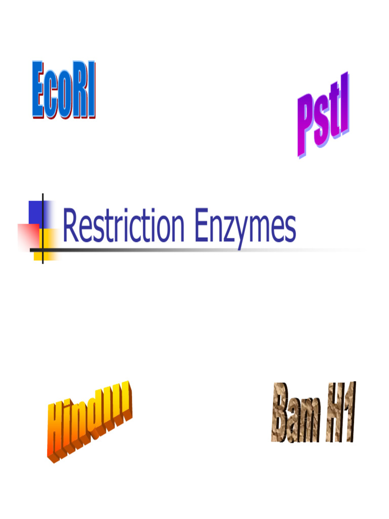 102 Restriction Enzyme | PDF | Restriction Enzyme | Dna