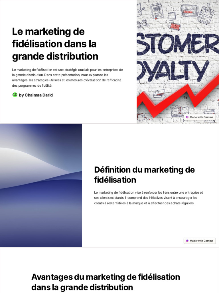 Le Marketing de Fidelisation Dans La Grande Distribution | PDF