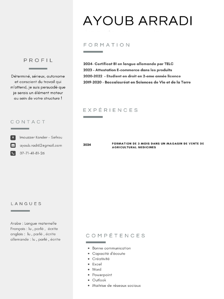CV Ayoub Arradi 2 | PDF