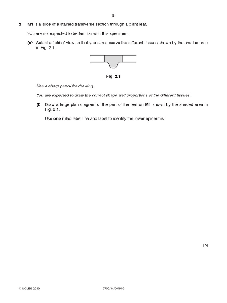 Examcambridge International A Levelbiology 970020199700 - w19 - QP - 34 PDF | PDF