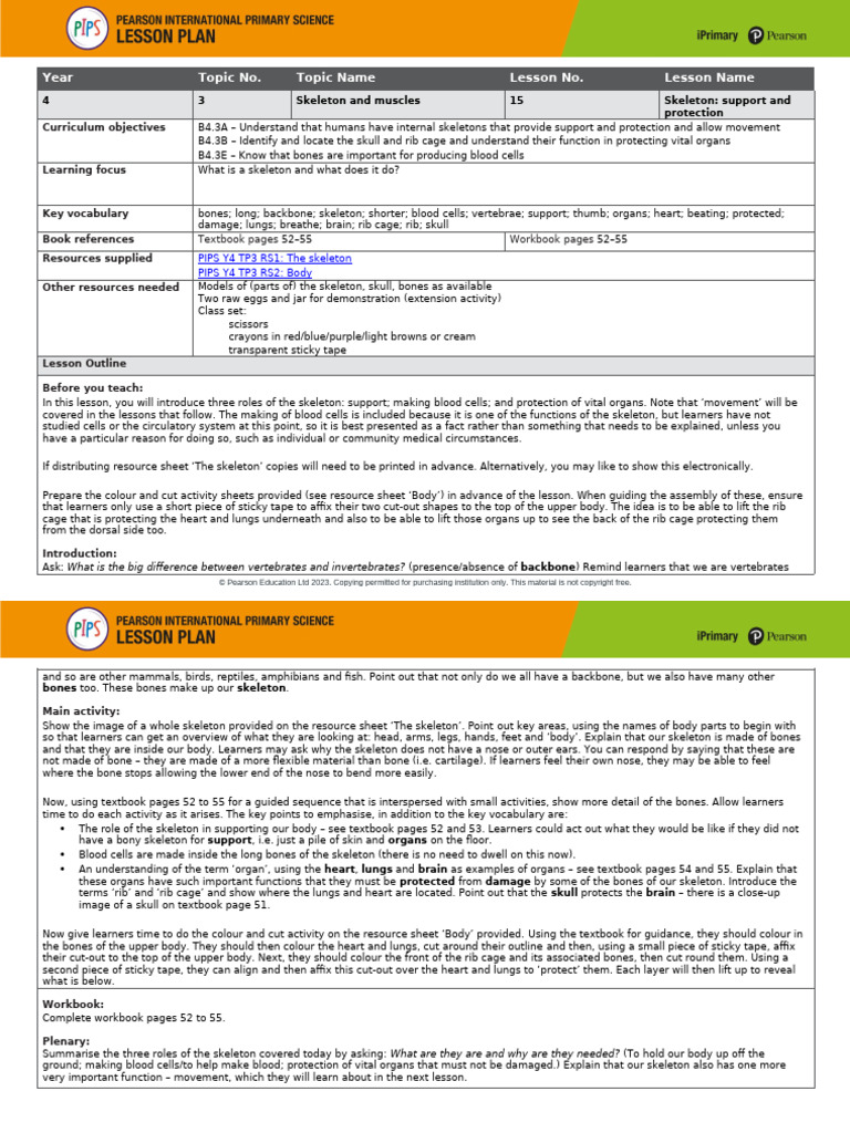 Ip Pips Lesson Plan Year 4 Topic 3 | PDF