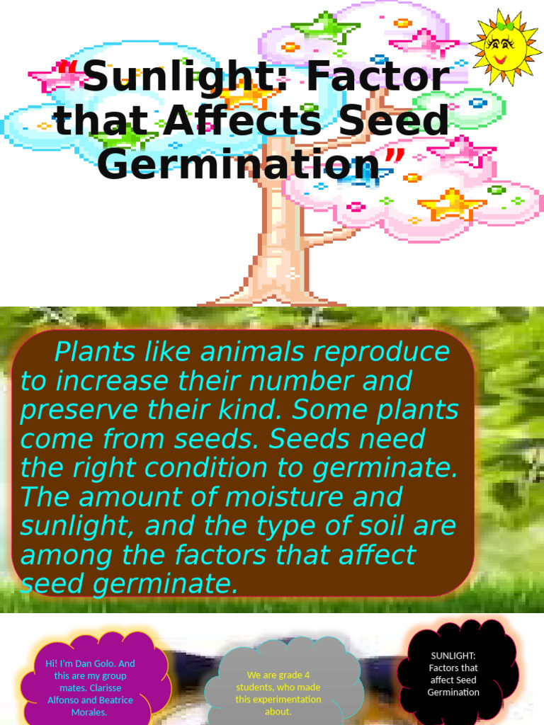 sunlight-powerpoint2 (1) | PDF