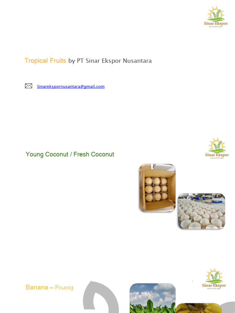SEN - Fruits Catalog Product | PDF | Fruit | Tropical Fruit
