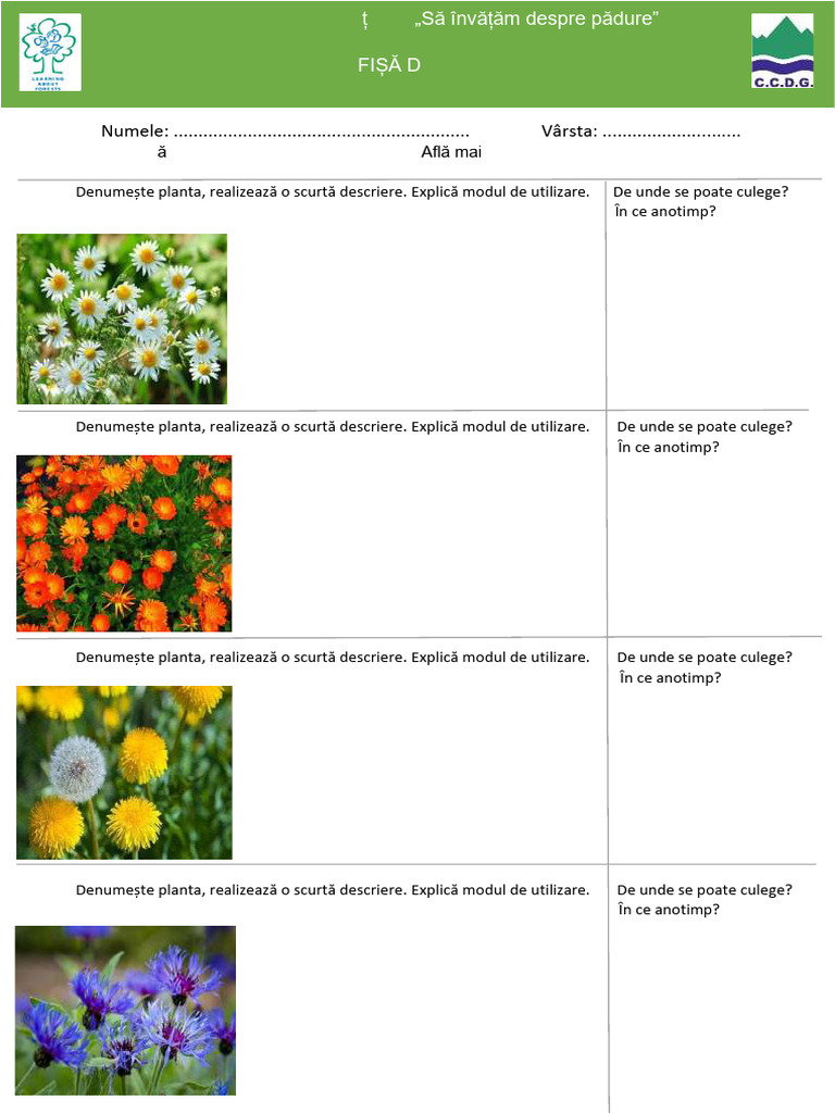 LeAF - Fisa - Plante Medicinale | PDF