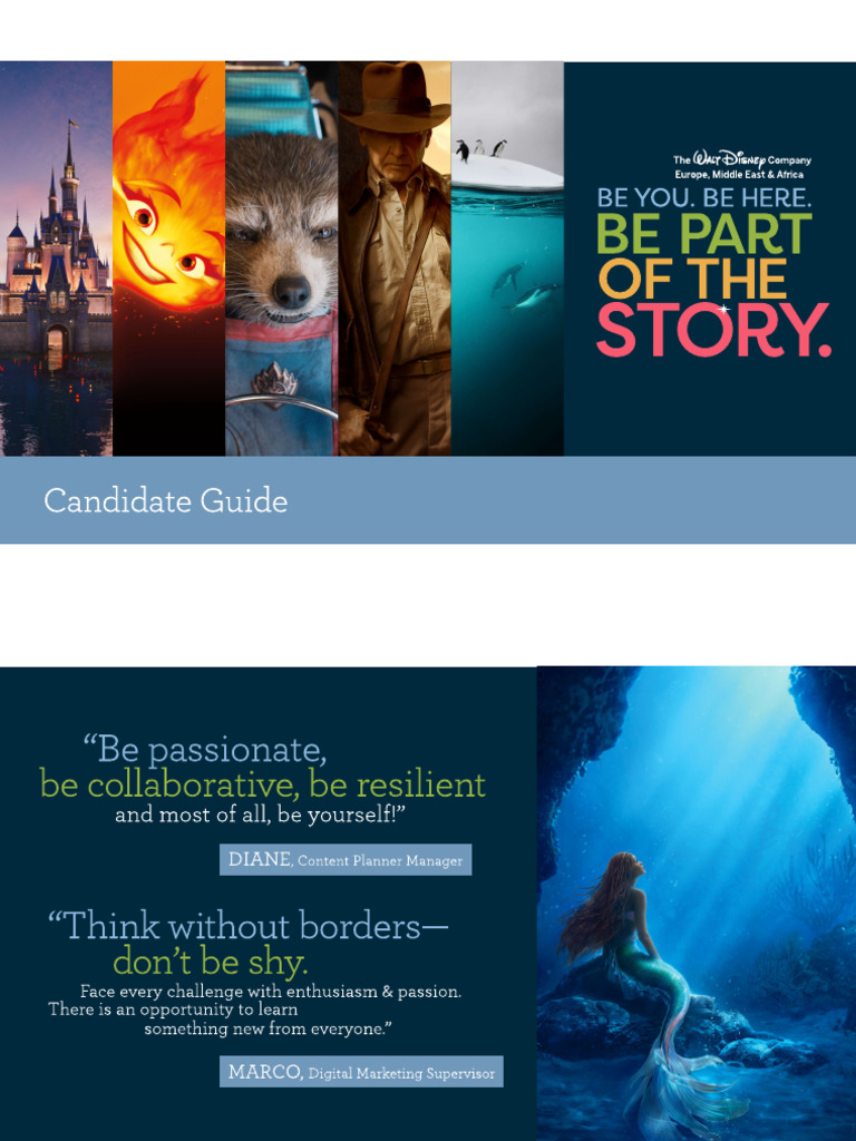 Candidate Guide PDF | PDF