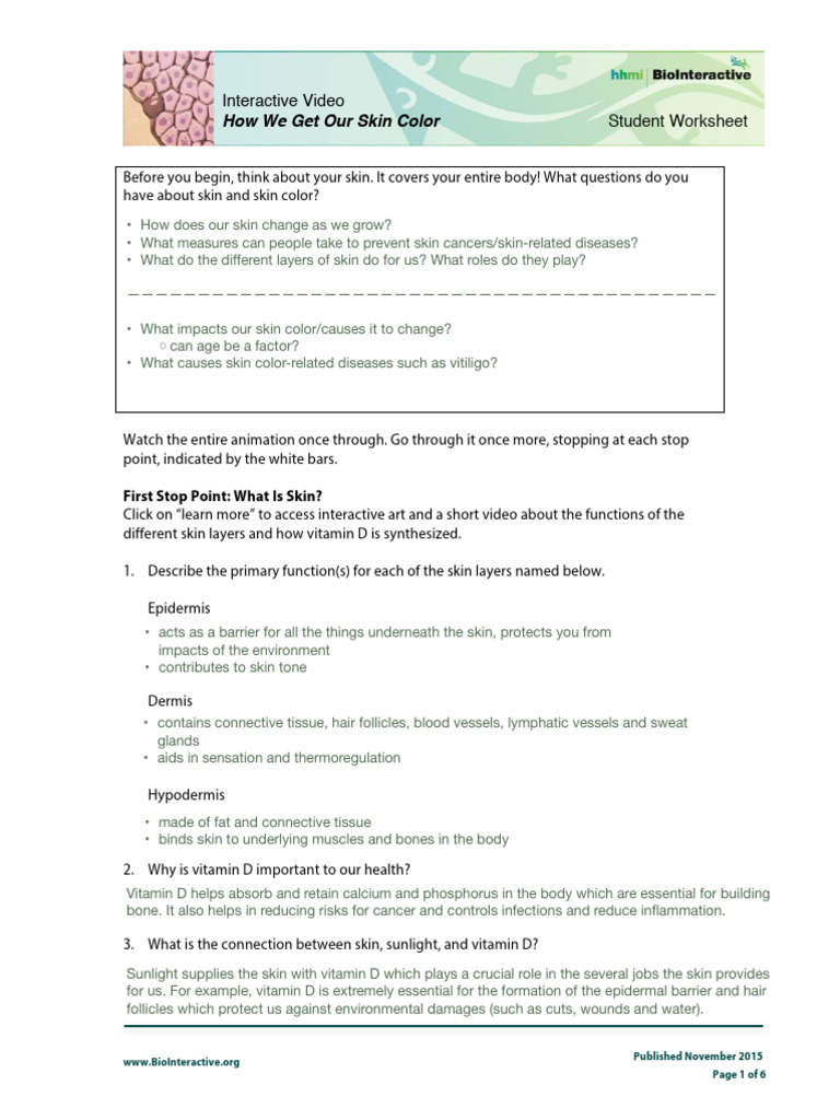 Skin Interactive Student Worksheet | PDF