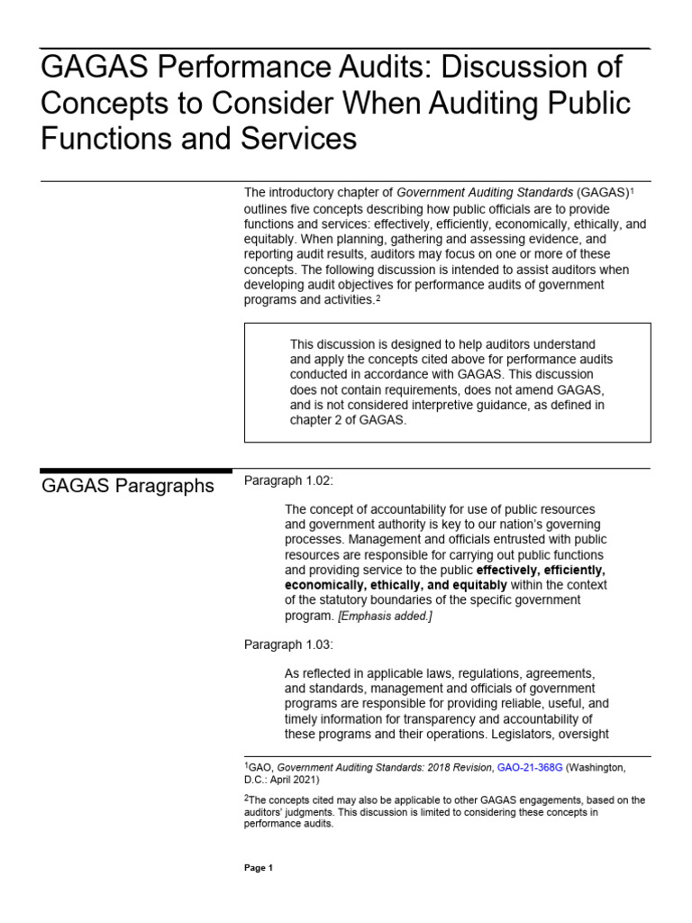 Performance Audit Discussion | PDF