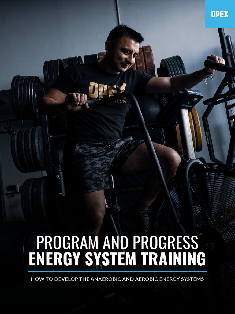Energy System Training - Program and Progress | PDF