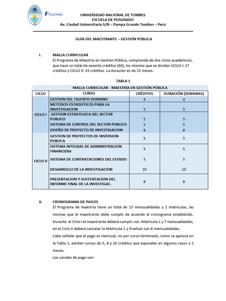 Guía Del Maestrante. | PDF