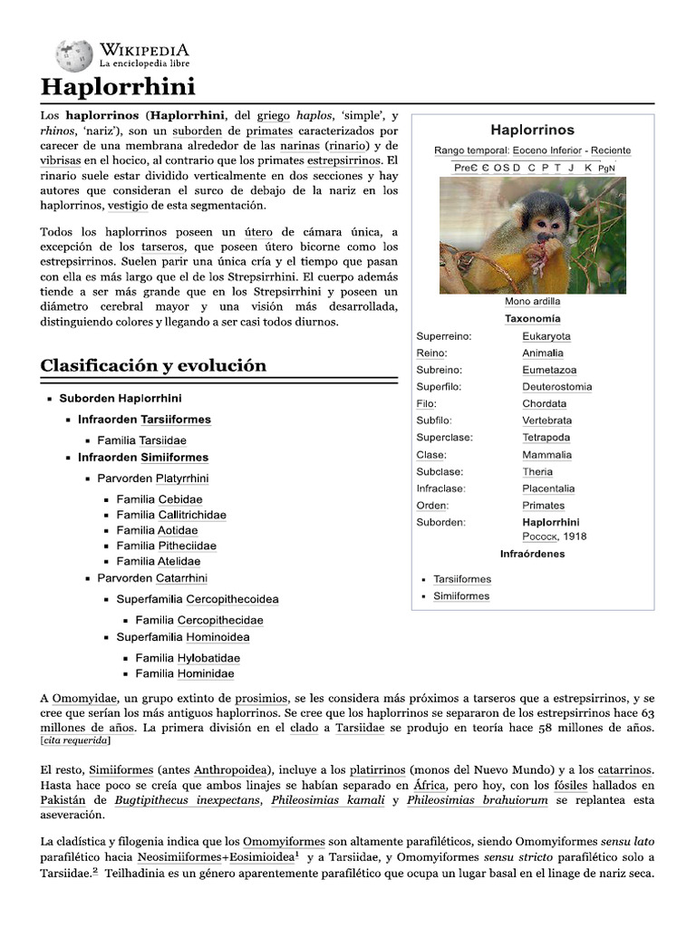 Haplorrhini | PDF
