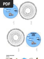 Verbs Wheel | PDF