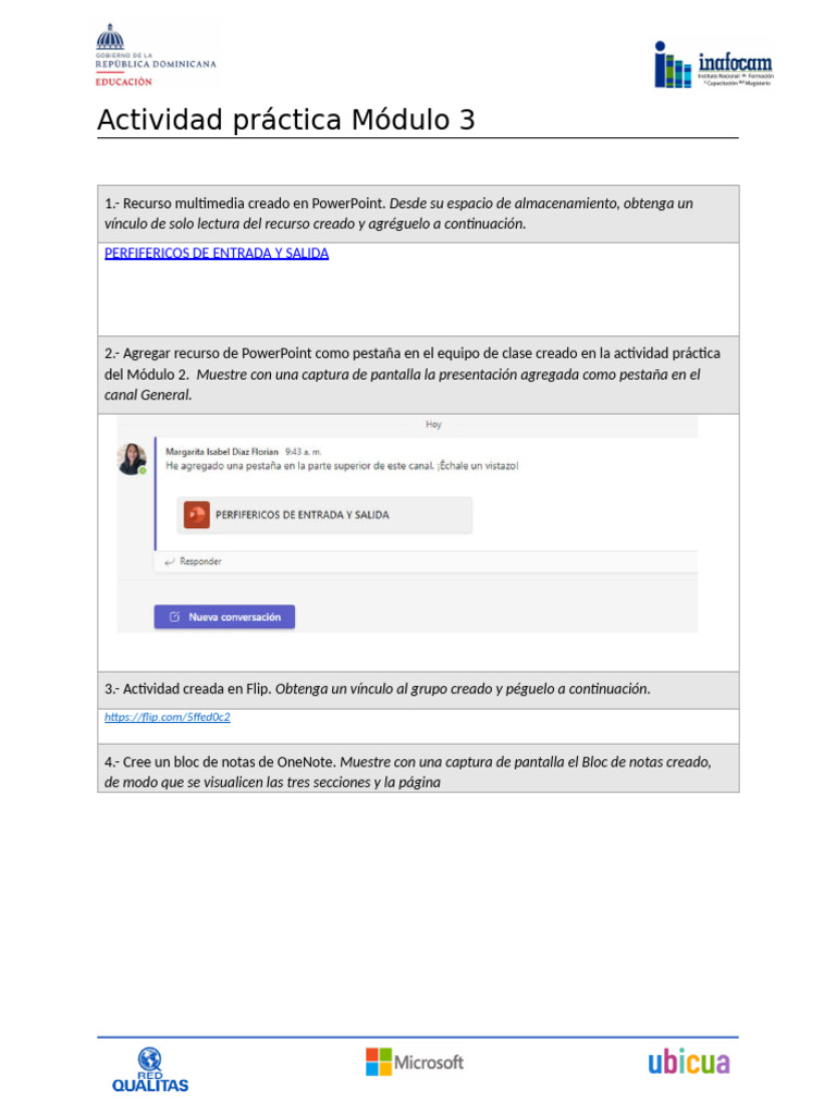 Plantilla Actividad Practica Modulo 3 | PDF