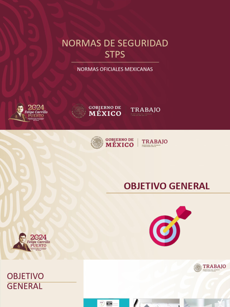 Nom S Seguridad | PDF