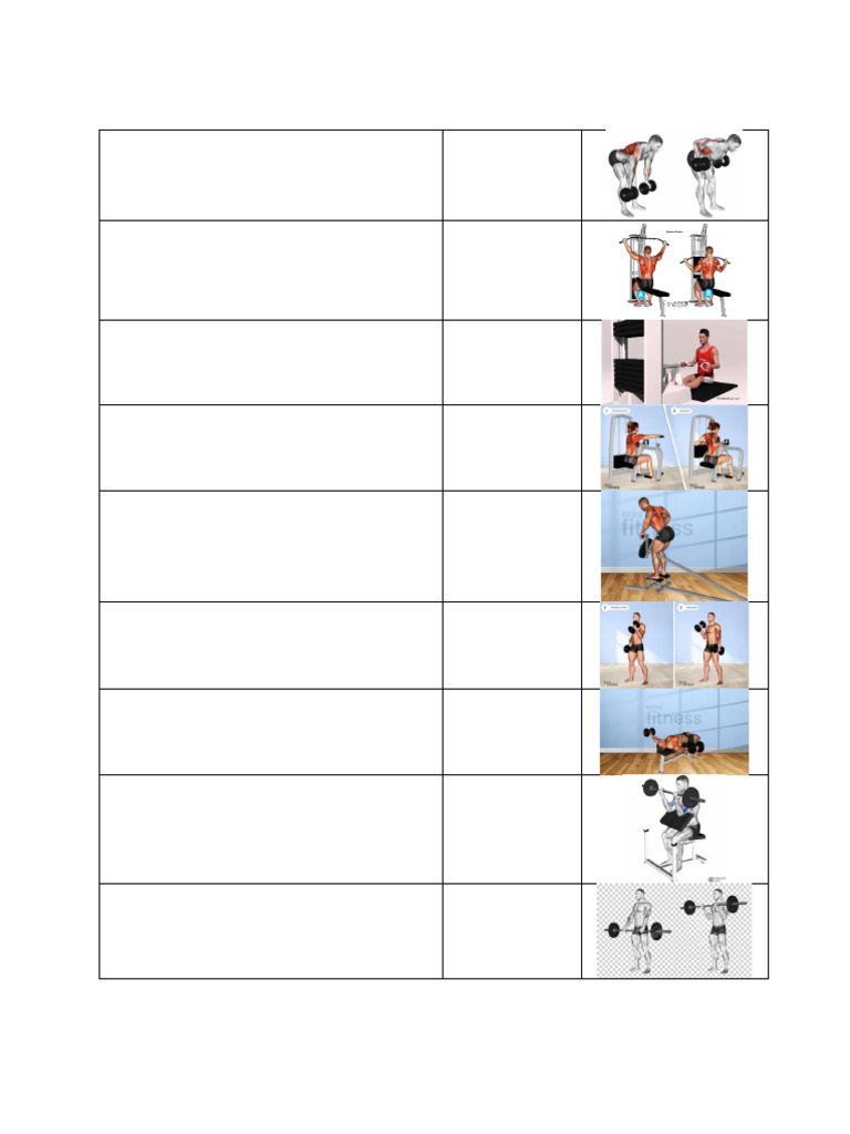 DIA 1. ESPALDA (DENSIDAD) Y BICEPS (PULL) | PDF