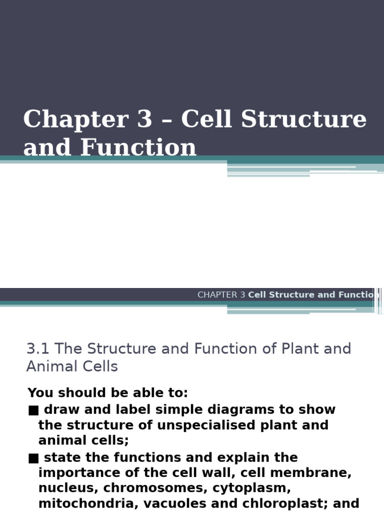 Chapter 03 - Cell Structure and Function | PDF