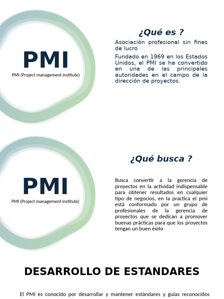 Que Es El Pmi | PDF