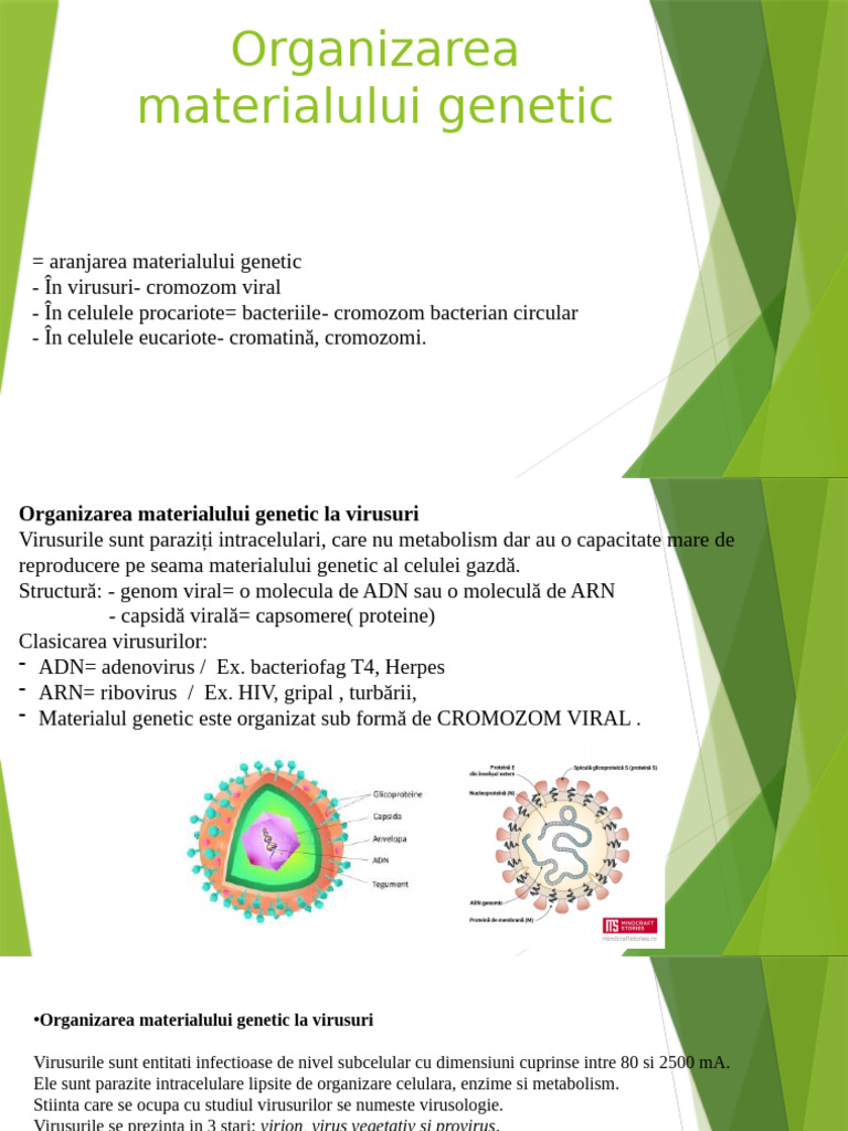 Organizare de Material Genetic La Virusuri Eucariote | PDF