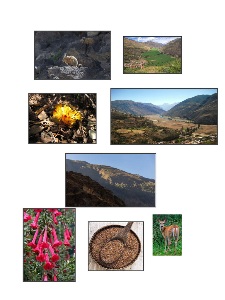 Imágenes de Las 8 Regiones Del Perú | PDF