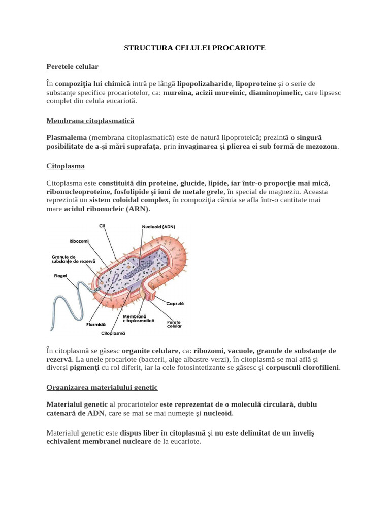 Structura Celulei Procariote | PDF