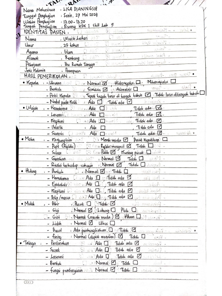 SOAP Pemeriksaan Fisik (Inspeksi, Palpasi, Perkusi, Auskultasi) | PDF