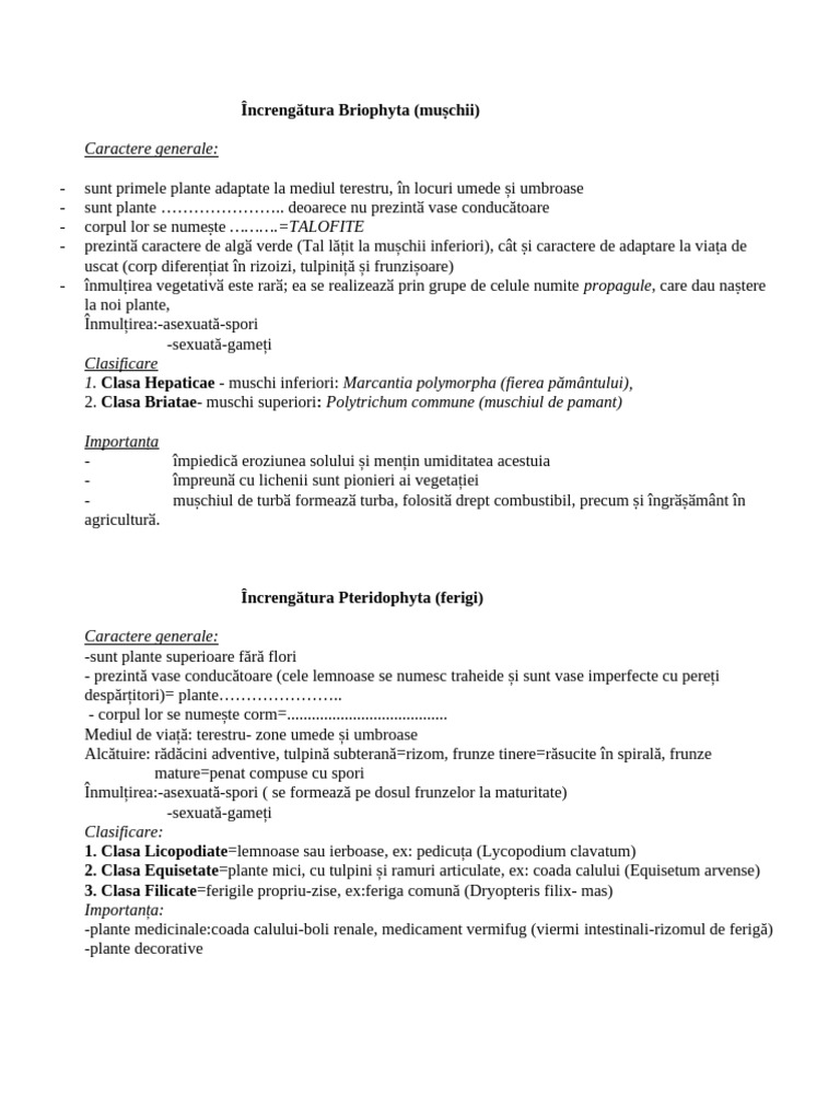 Muschi, Ferigi | PDF