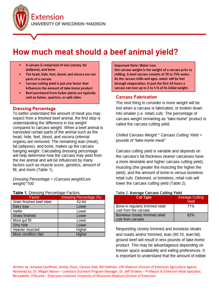 Beef Animal Yield | PDF