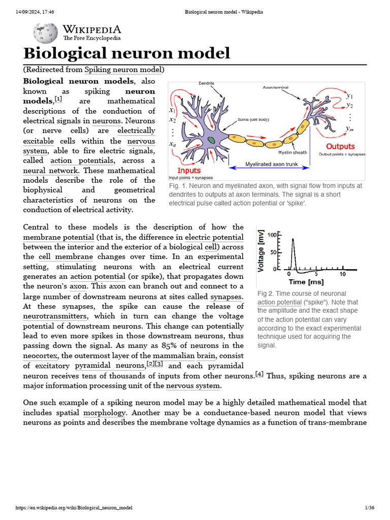 Biological Neuron Model - Wikipedia | PDF