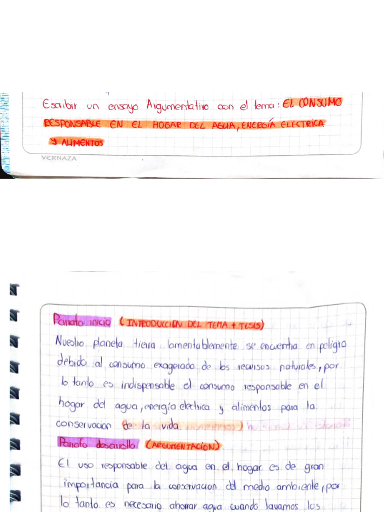 El Ensayo Argumentativo Britney Aviles 10mo I | PDF