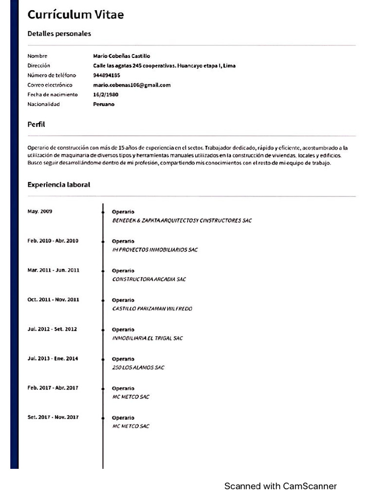 CV Mario Cobeñas Castillo | PDF