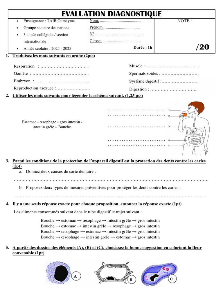 Evaluation Diagnostique 3ac | PDF