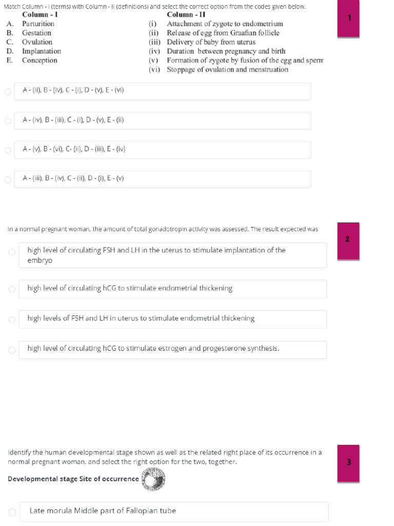 Human Reproduction Questions | PDF