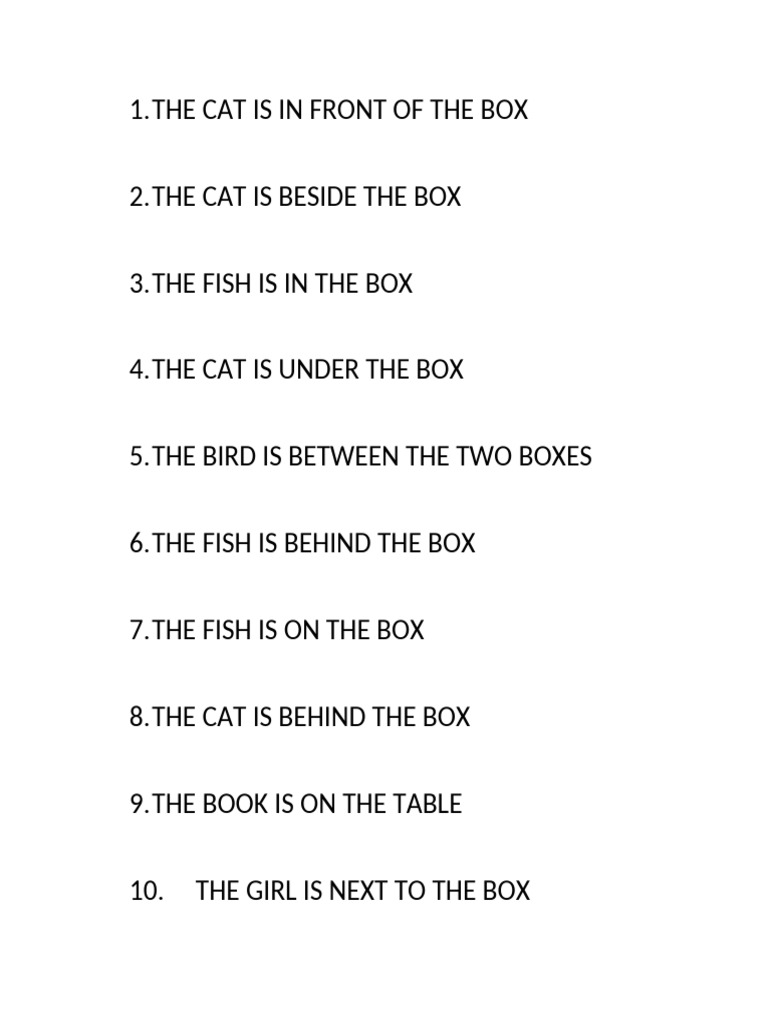 The Cat Is in Front of The Box | PDF