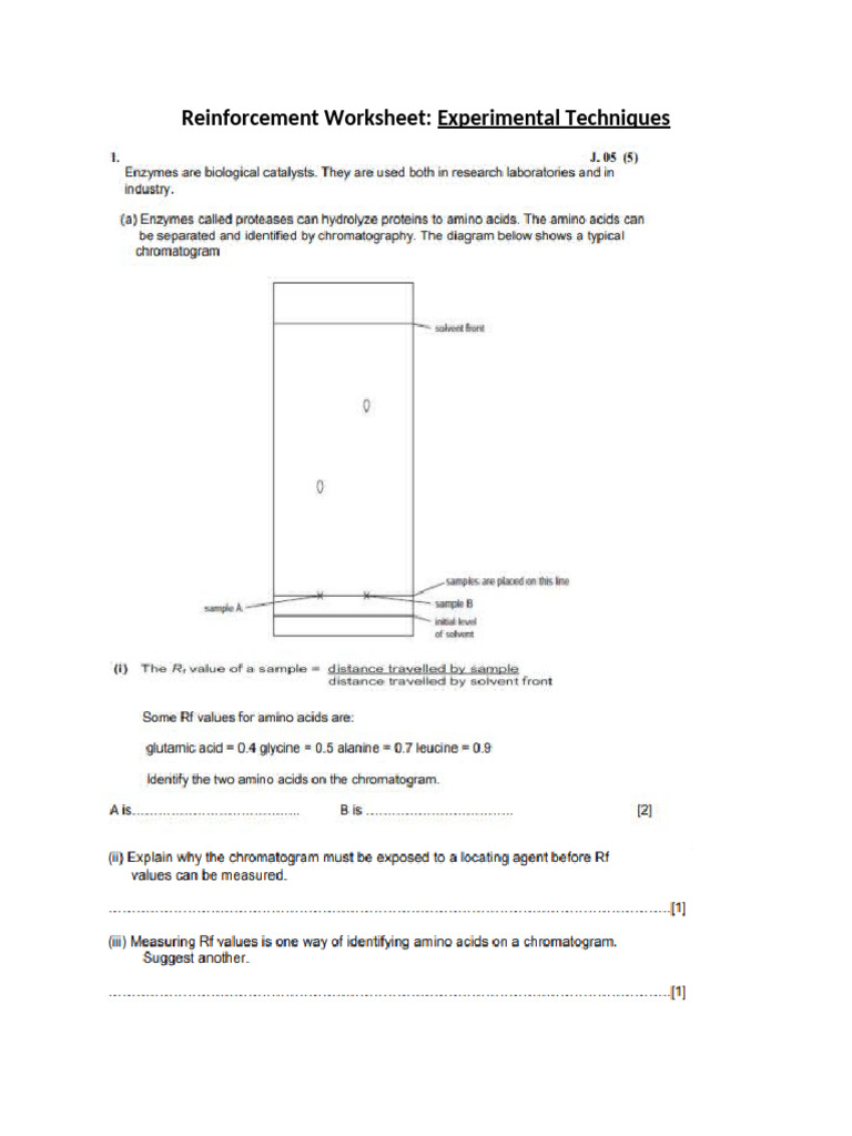 Reinforcement Worksheet Experimental Techniques Term 1 | PDF