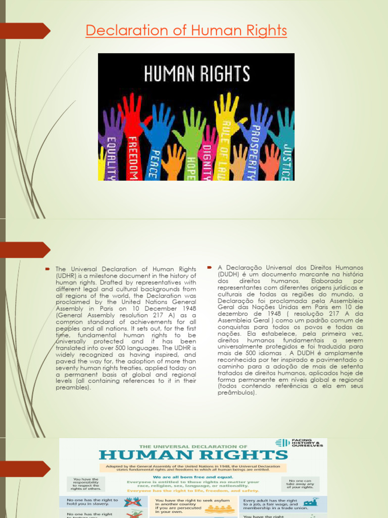 Declaration of Human Rights | PDF
