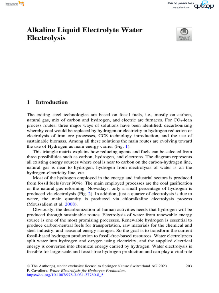 Alkaline Liquid Electrolyte Water | PDF