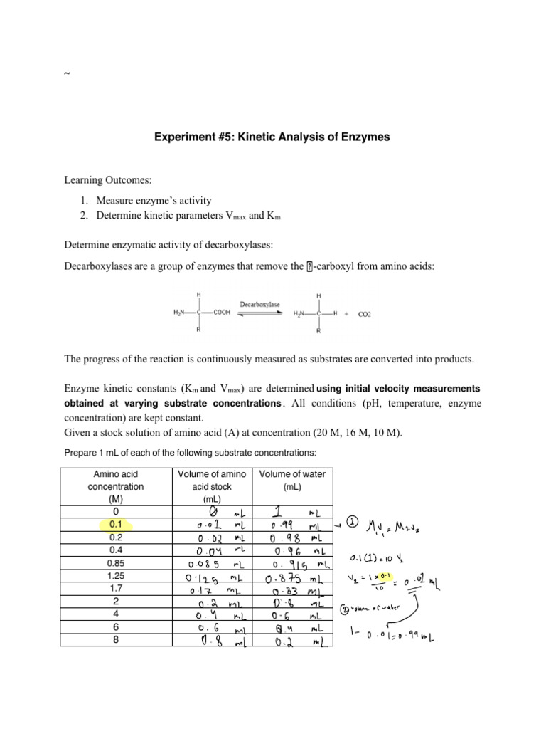#5 Lab Report | PDF