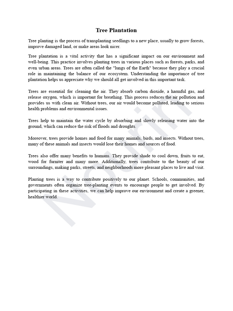 Tree Plantation | PDF