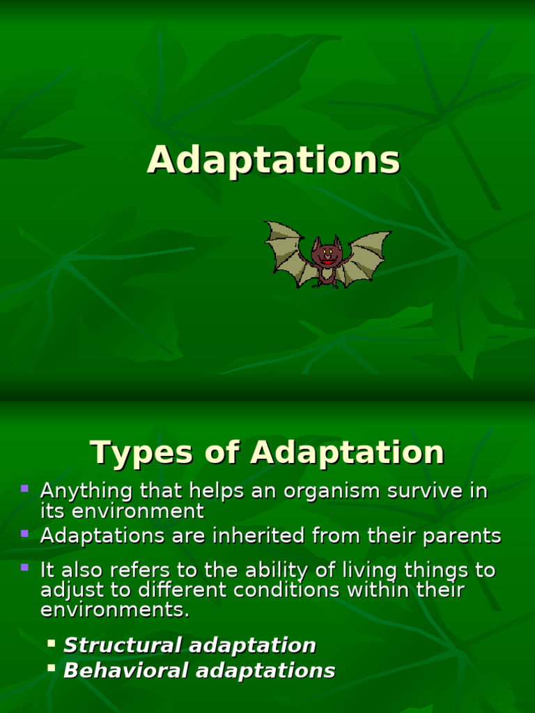Adaptations | PDF