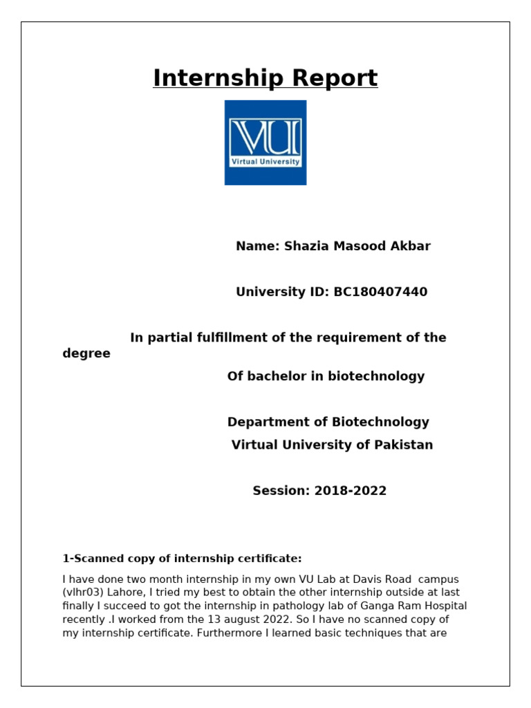 Internship Report | PDF
