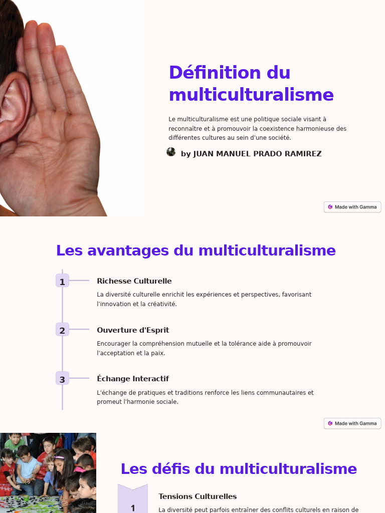 Definition Du Multiculturalisme | PDF