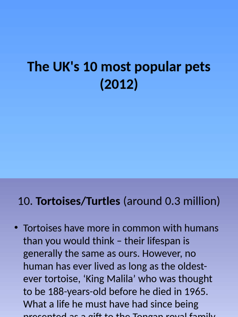 The UK's 10 Most Popular Pets | PDF