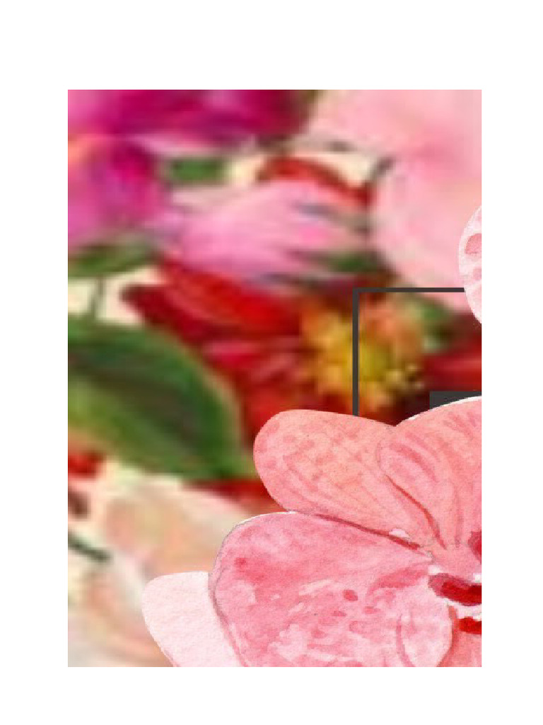 Mae Tarp Papel | PDF