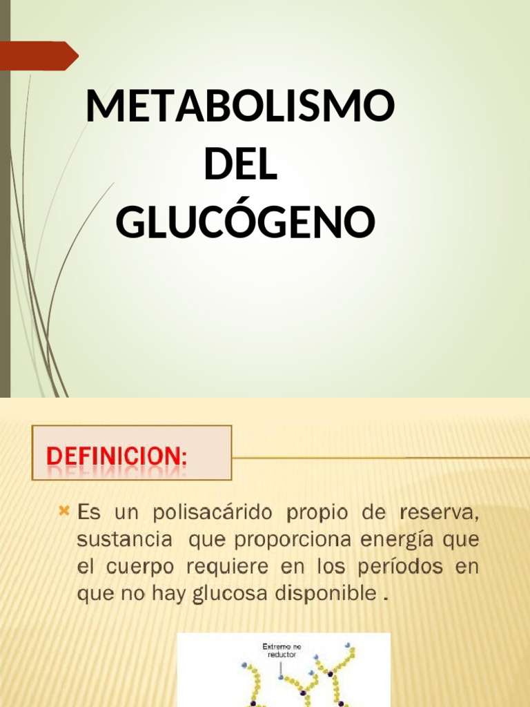 Metabolismo y Regulación del Glucógeno | PDF | Procesos celulares ...