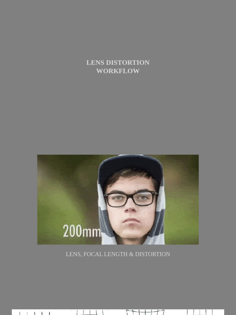 Lens Distortion Workflow Theory | PDF