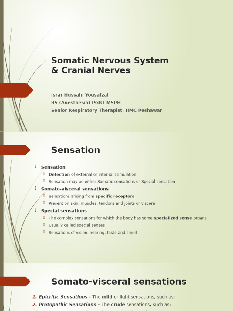 Somatic System+Cn | PDF