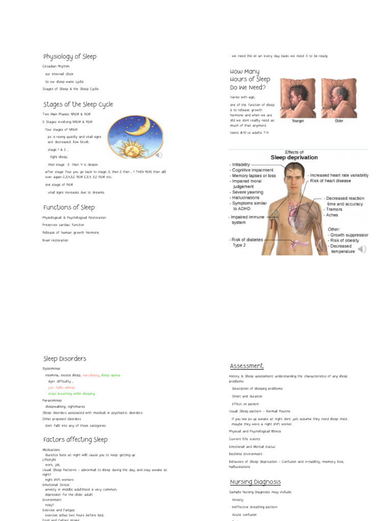 Week 13 Lecture Physiology of Sleep Outline | PDF Week 13 Lecture Physiology of Sleep Outline | PDF