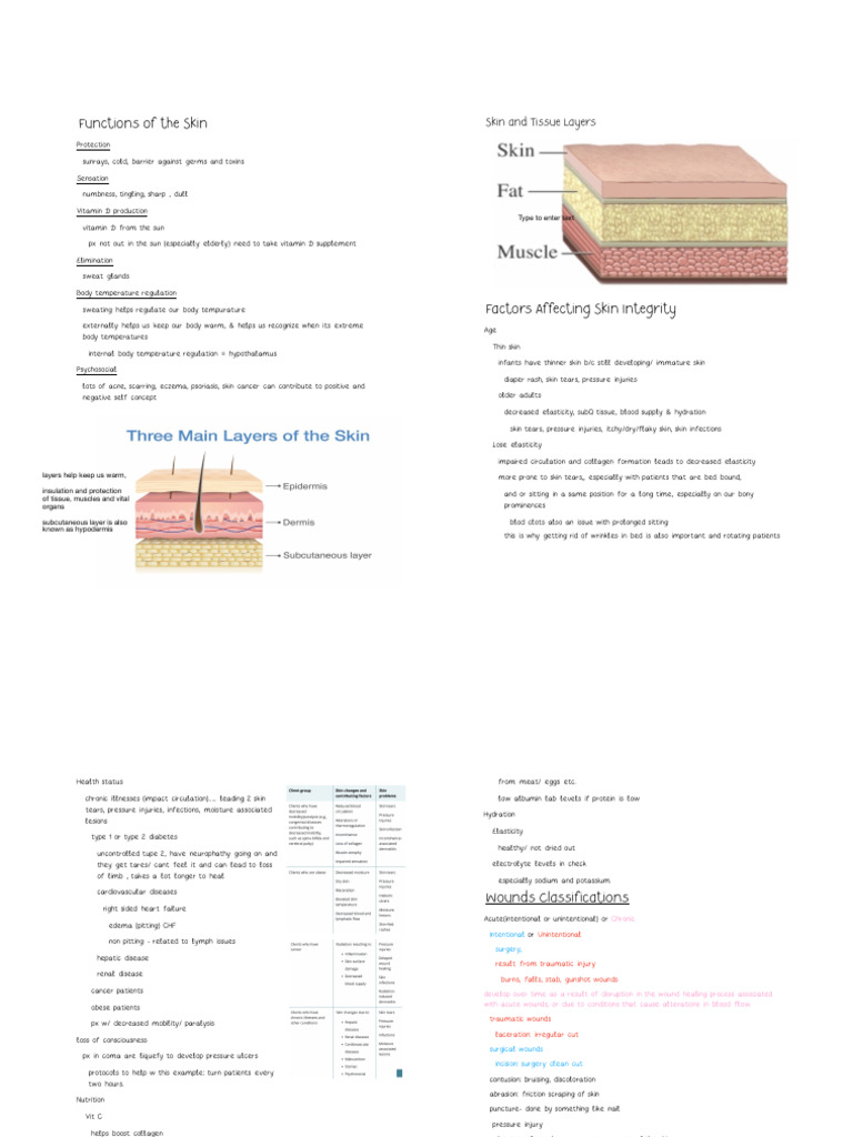 Week 12 Lecture Tissue Integrity Outline | PDF