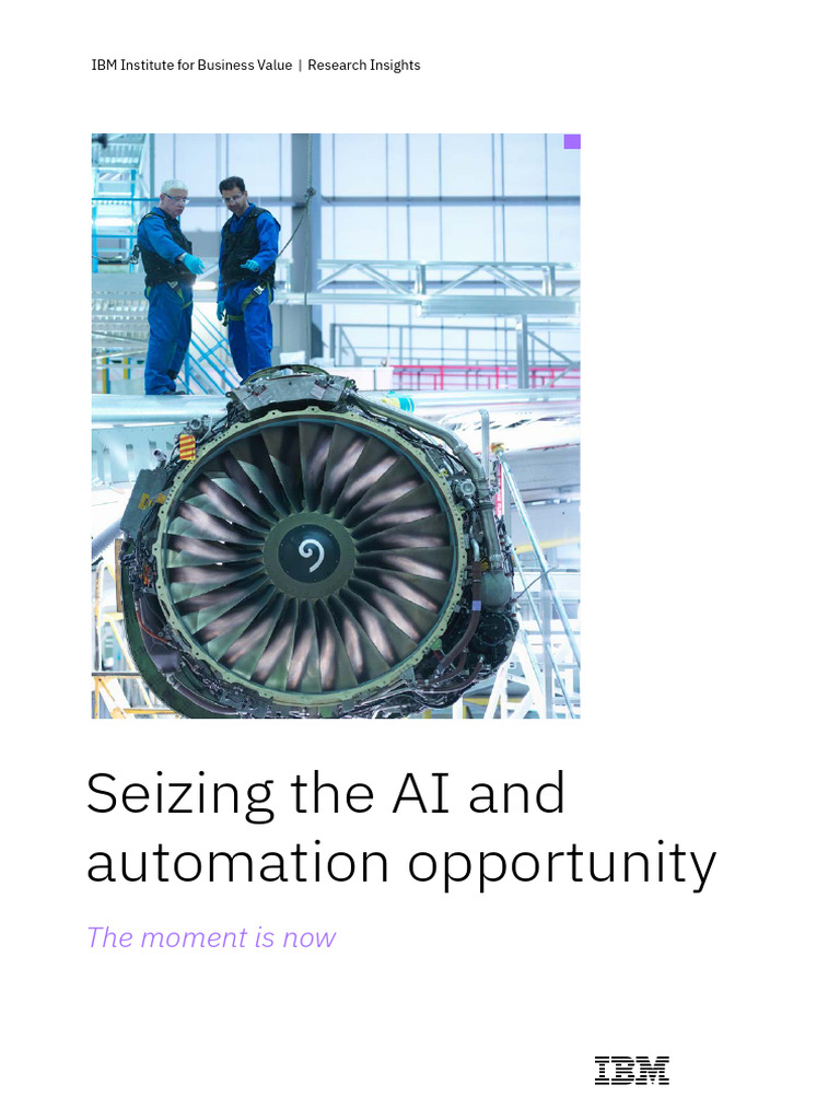 Ibv Seizing The Ai And Automation Opportunity Pdf